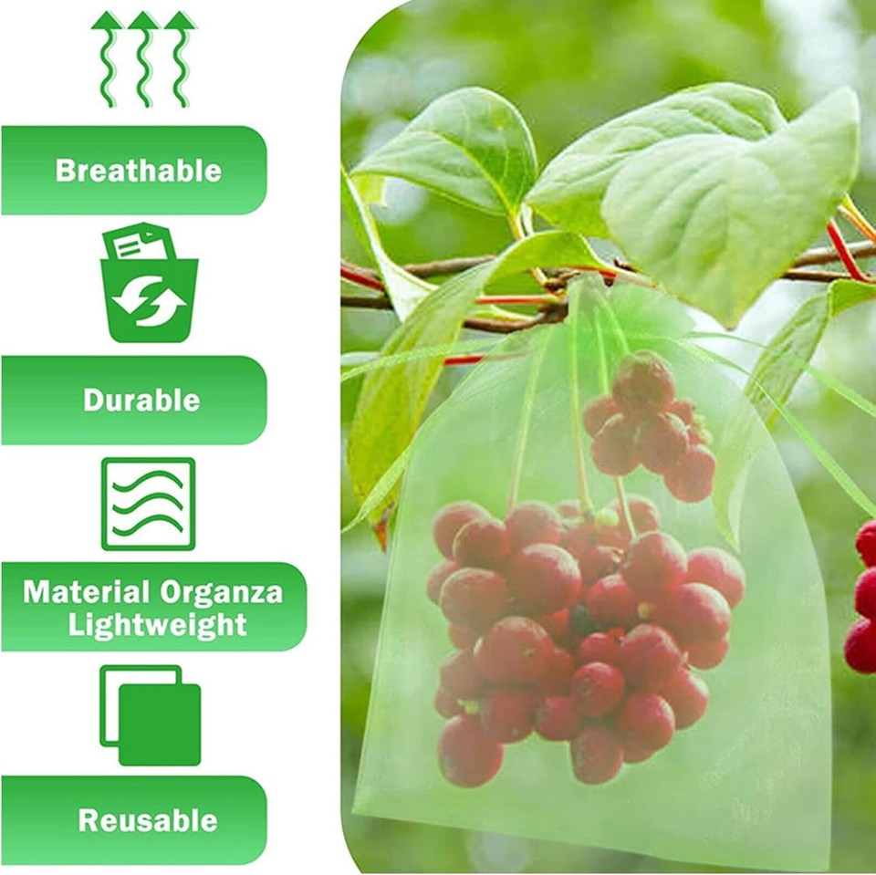 100 Pack Fruit Protection Bags 6'' x 10'' 15cm x 25cm Reusable Mesh ...