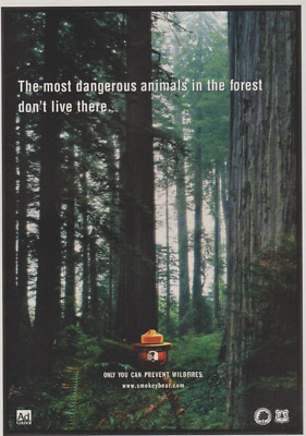 2004 Ad Council Prevent Forest Fires Smokey The Bear - Dangerous ...