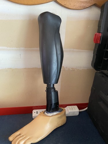 Endolite Blatchford Linx Microprocessor Prosthetic Knee & Foot. Just ...