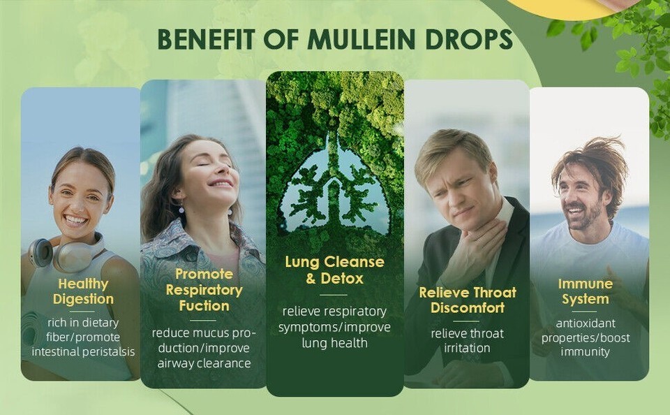 Mullein Leaf Extract Super Concentrated 420,000 MG 2 FL.OZ/60 ML Lung ...