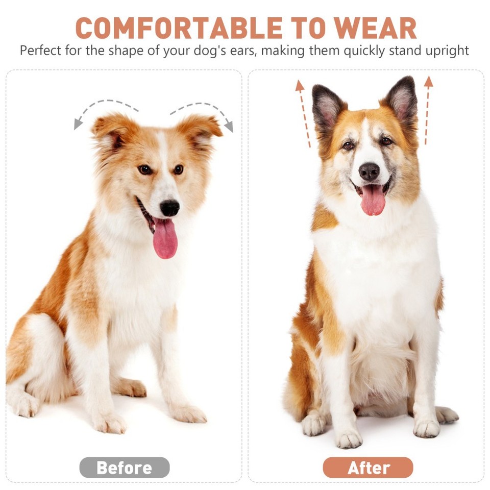 Dog Ear Standing Tool Pet Device Doberman Fixation Support Posting Kit ...