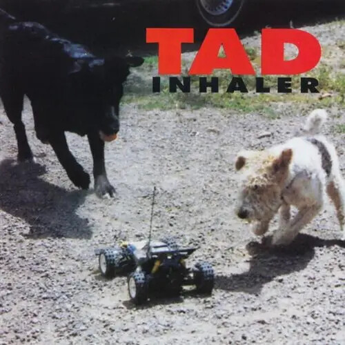 CD Tad Inhaler | eBay