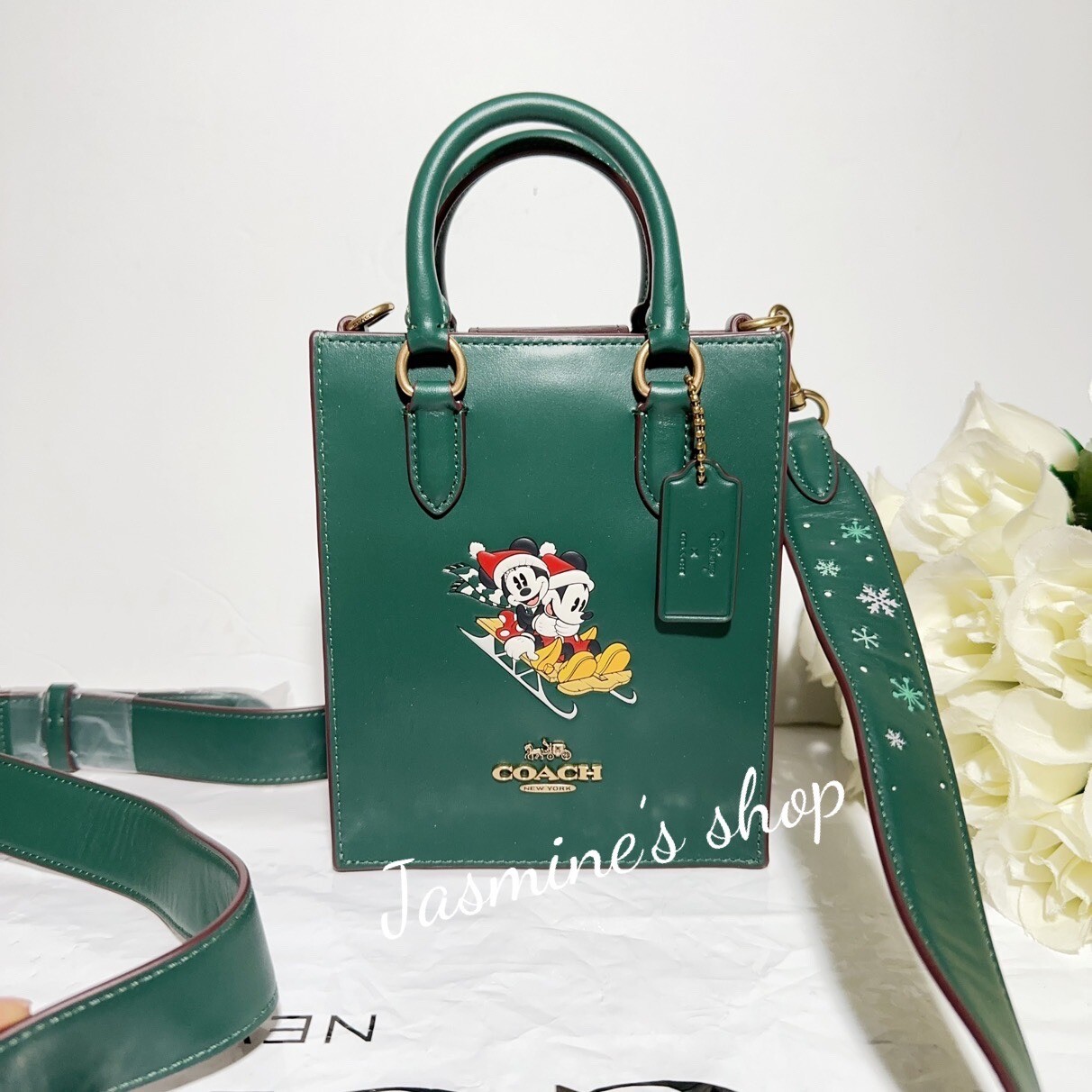 NWT Coach CN021 Disney X Coach North South Mini Tote with Sled Motif ...