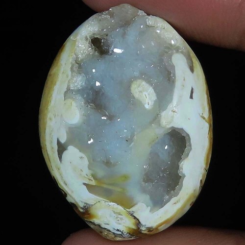 Non Traité Fossilisé Escargot Druse Agate Gemme 73.10 CT 25x34x13 MM Is ...