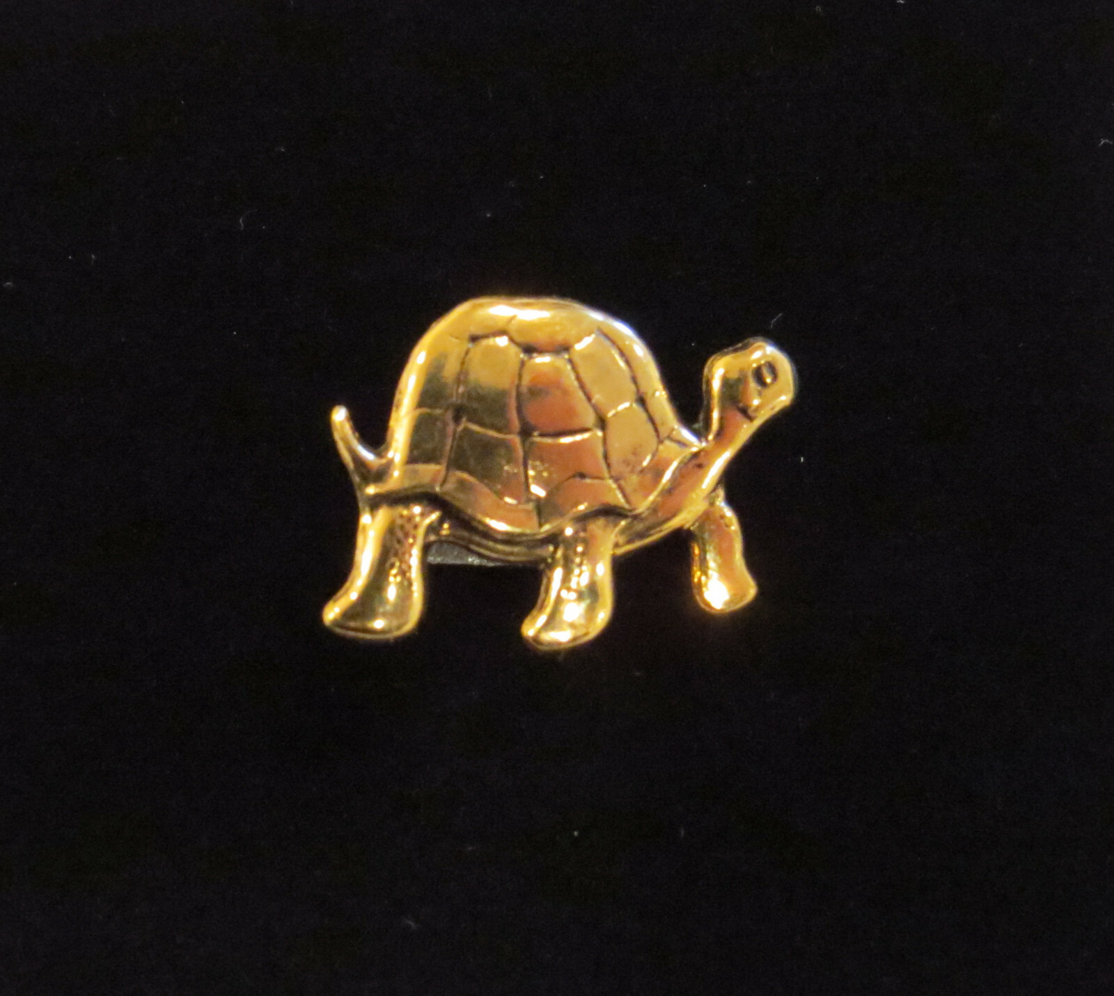 Turtle Tack Pin Tortoise Snapper Loggerhead Reptile Leatherback ...