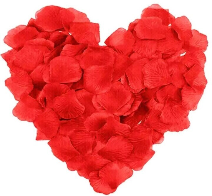 Wedding Table Decor DIY Scrapbooking Shower Red Rose Flower Petals ...