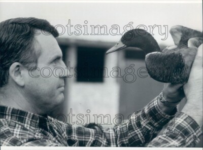 1988 Press Photo Robert Duck Holds Duck Bosque Farms Valencia Co New ...