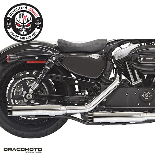 Harley XL 1200 NS ABS Sportster Iron 2019-2021 Exhaust BASSANI ...