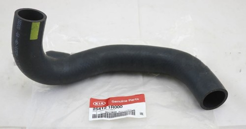 GENUINE BRAND NEW HYUNDAI ACCENT 2011-2014 HOSE-RADIATOR LOWER | eBay