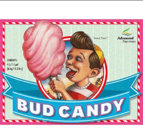 Advanced Nutrients Bud Candy 10 fl oz FREE SHIPPING | eBay