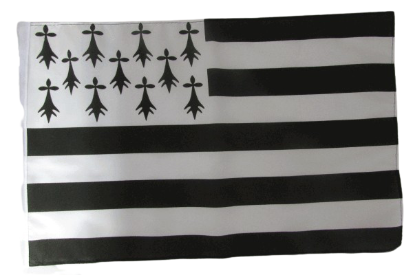 Courtesy Flag 1.5ft x 1ft Sleeved Polyester 180+ designs FREE P&P | eBay UK