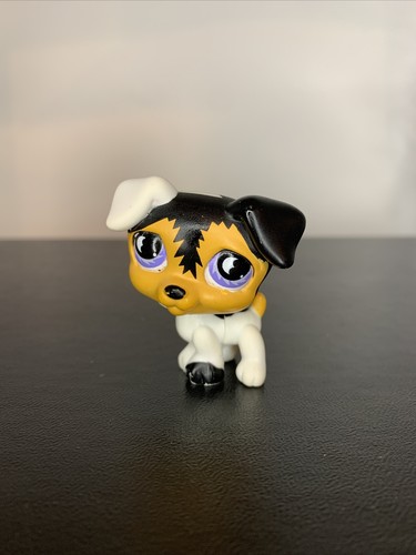Littlest Pet Shop 803 Jack Russell Terrier Dog Black Orange White Blue ...