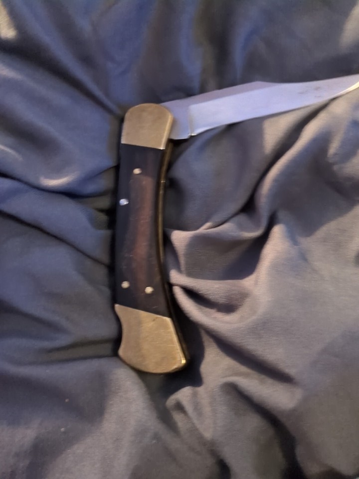 Buck Knives 110 3.74 inch Pocketknife 33753092107 | eBay