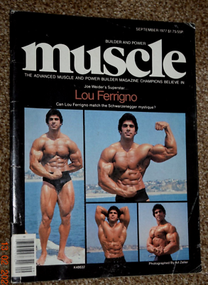 Arnold Schwarzenegger Vs Lou Ferrigno Stats