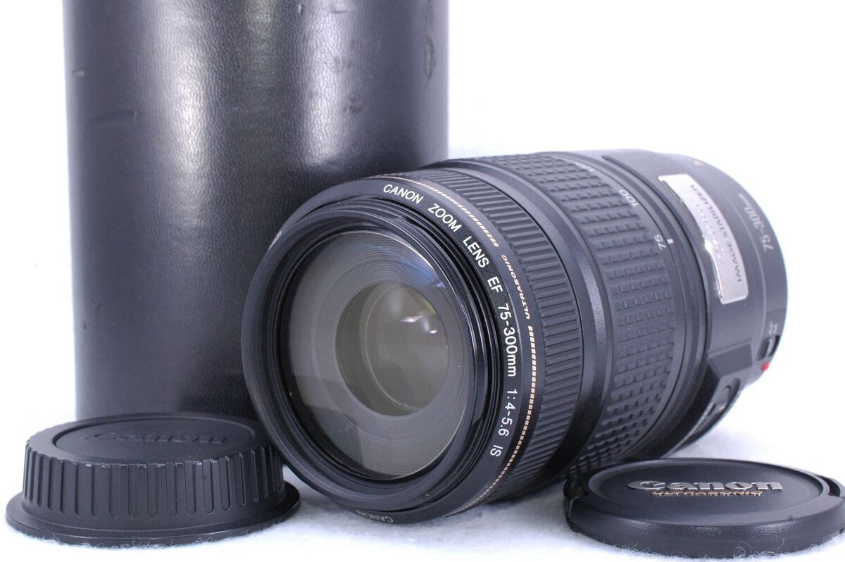 Canon EF 75-300mm F4-5.6 IS USM Telephoto Zoom Lens in Case Canon EF 75-300mm F4-5.6 IS USM Telephoto Zoom Lens in Case