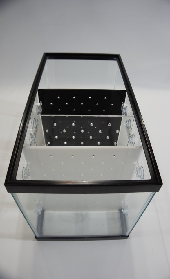 Aquarium divider fish separator | eBay