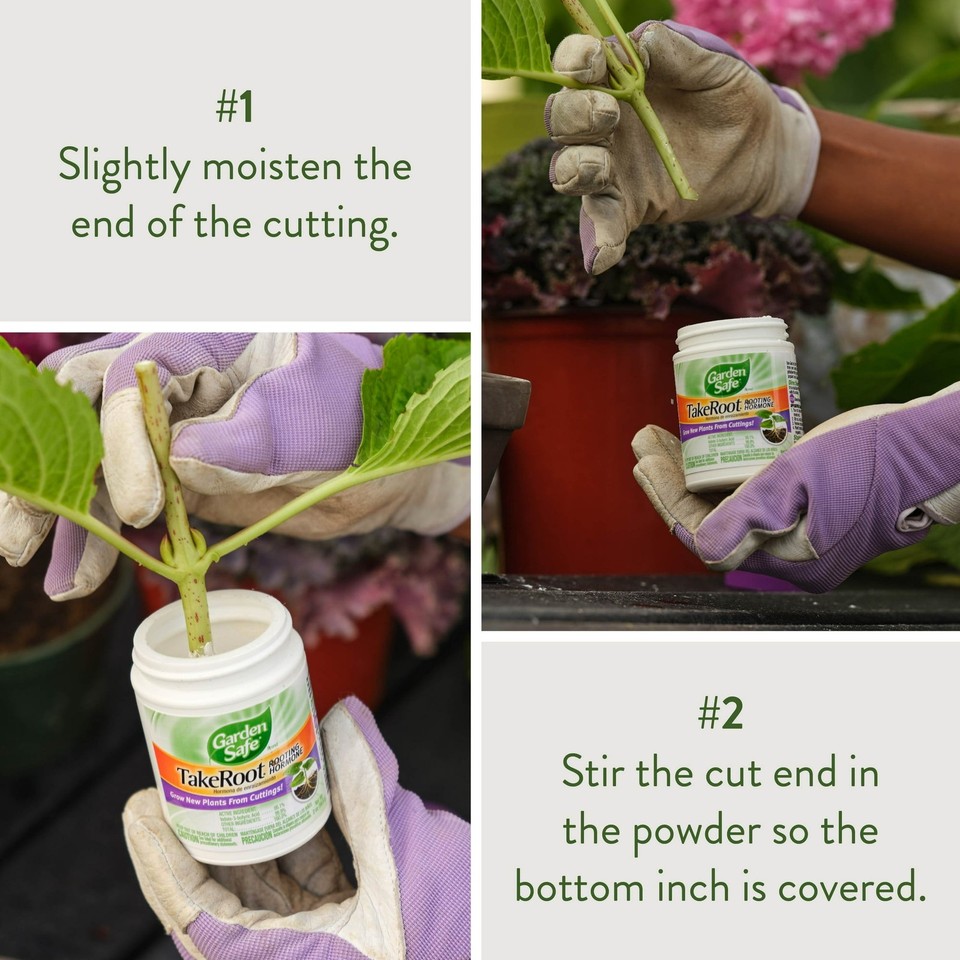 Garden Safe Take Root Rooting Hormone, 2-Ounce | eBay