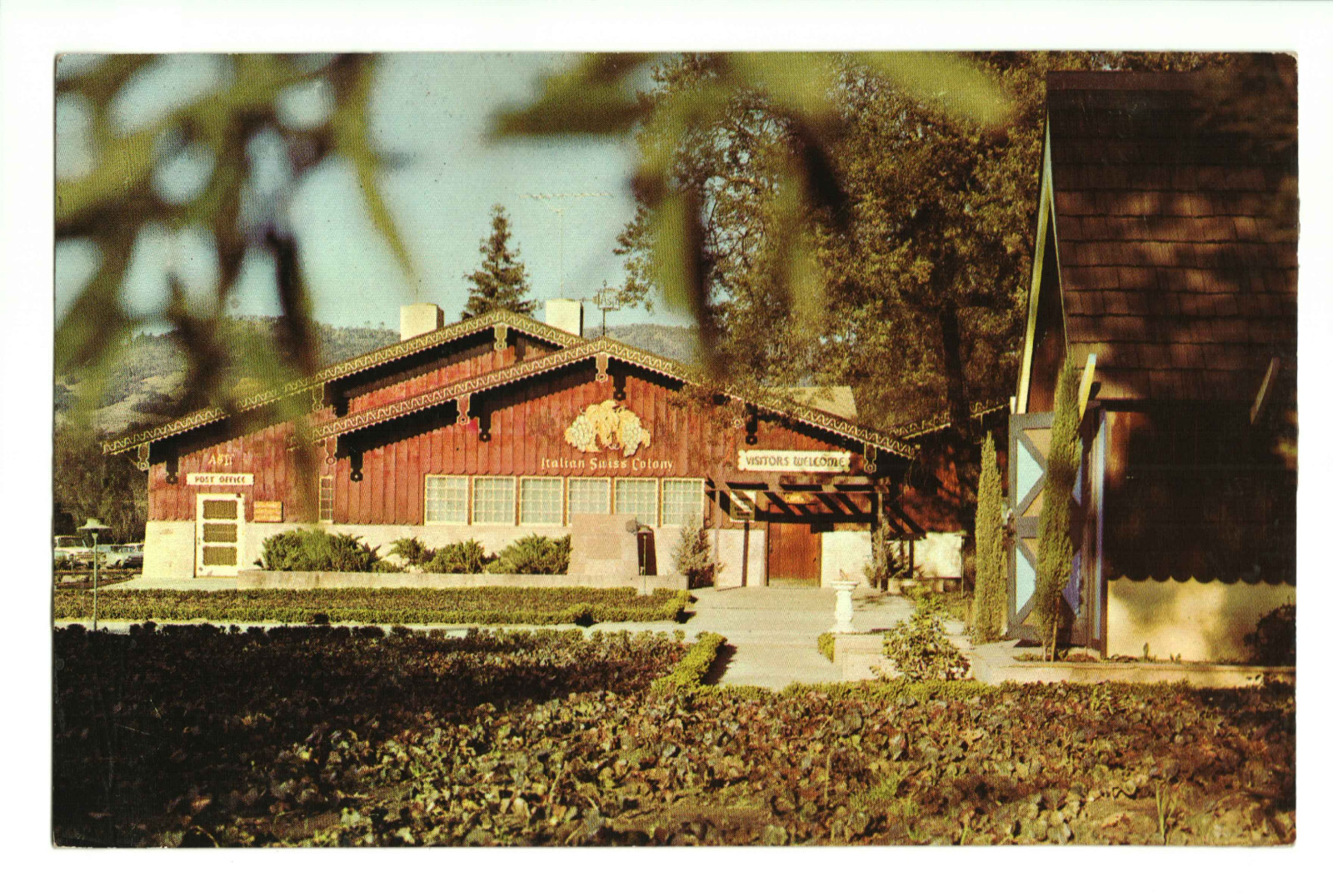 Postcard Italian Swiss Colony Wine Tasting Room Asti California CA ...