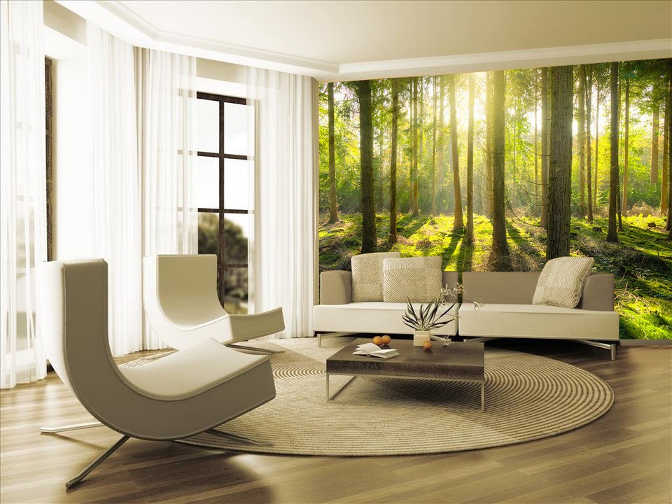 Green Tree Plant Wall Mural Forest Photo Picture Wallpaper Bedroom ...