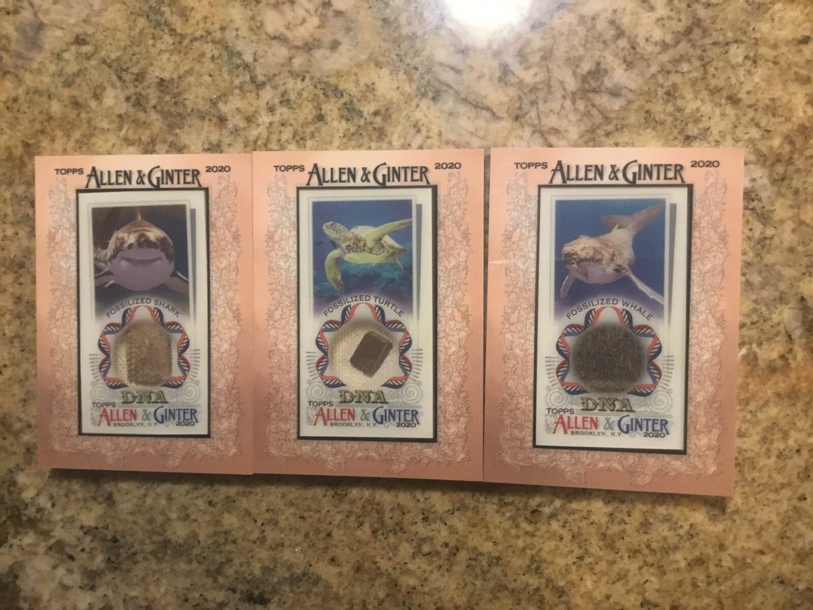 2020 Topps Allen & Ginter DNA RELICS COMPLETE SET (9) SEE LIST | eBay