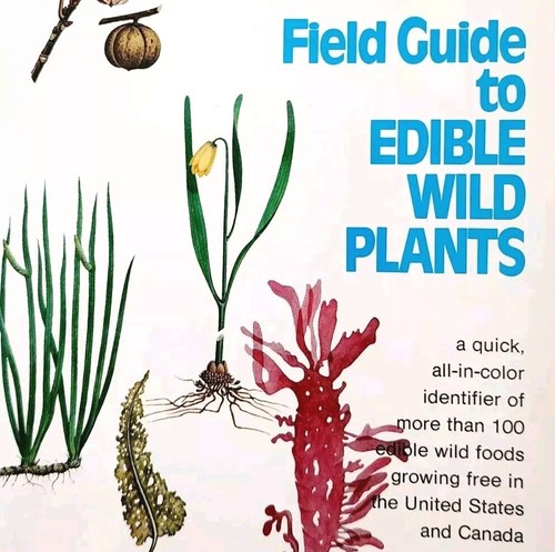 Field Guide Edible Wild Plants 2000 PB Vintage Foraging Outdoors Nature ...