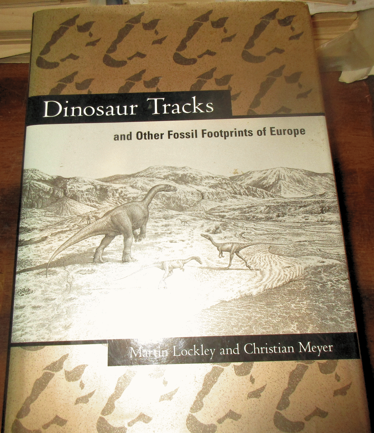 GEOLOGY PALEONTOLOGY NICE HB DINOSAUR AND FOSSIL REPTILE FOOTPRINTS OF EUROPE | eBay