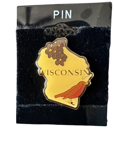 Wisconsin Souvenir Travel Pin | eBay
