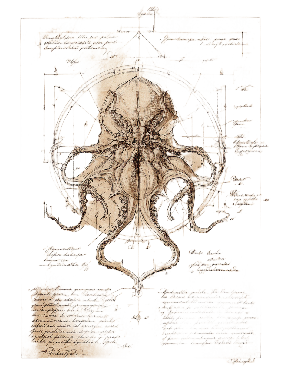 Dissected Octopus Study Vinyl Car Decal Sticker – Waterproof & UV ...