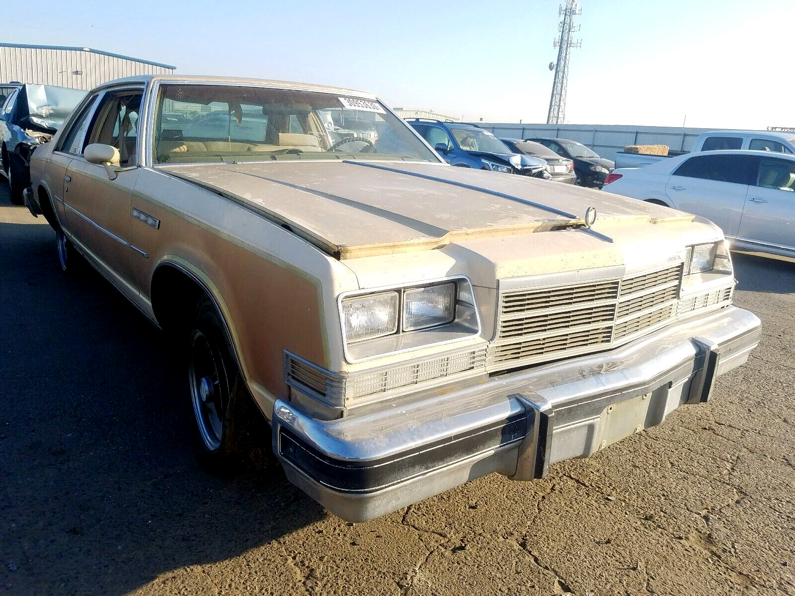 Buick LeSabre : 1977, 1978, Right Passenger Turn Signal, Park Lamp ...