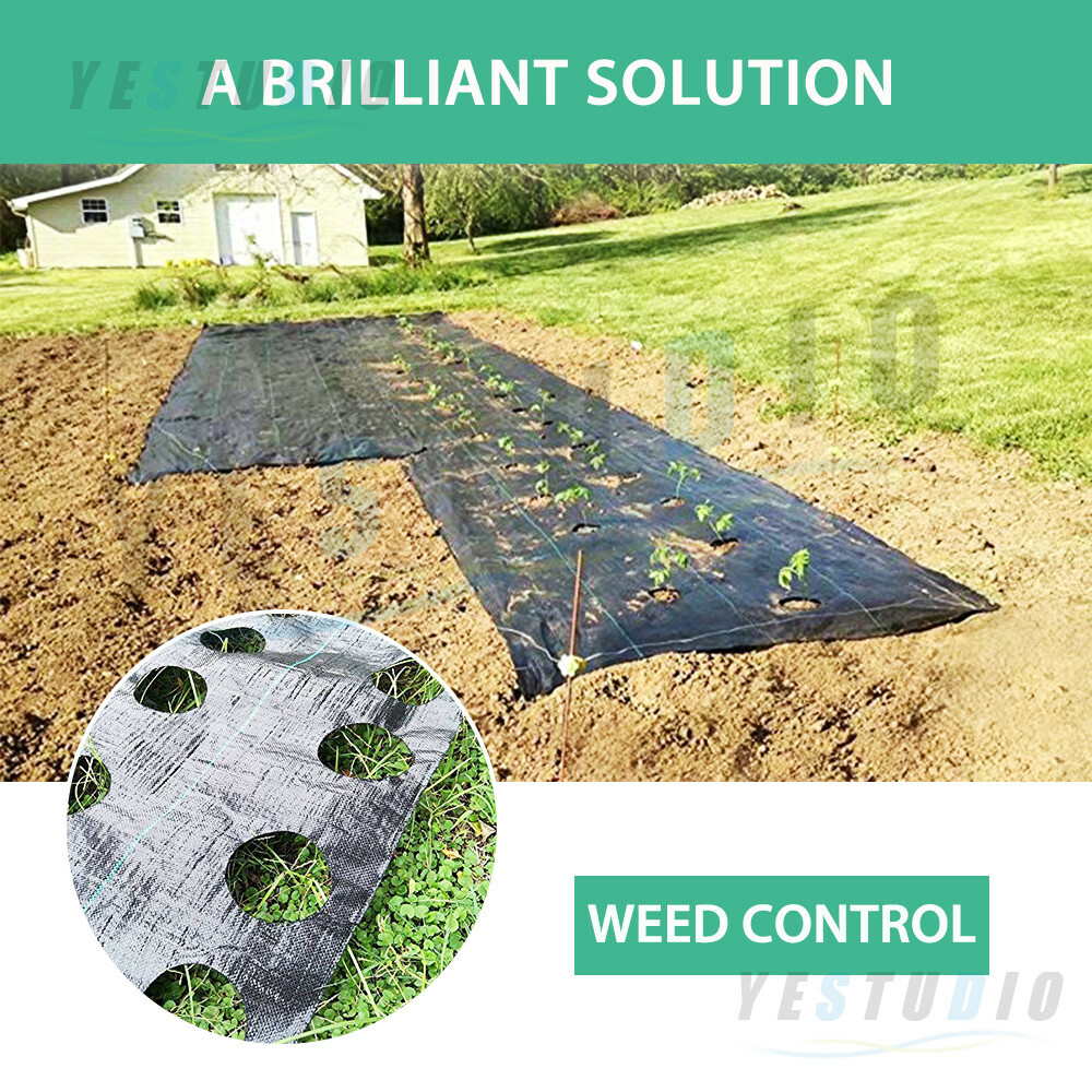 50/100/200M Weedmat Weed Control Mat Woven Fabric Gardening Plant ...