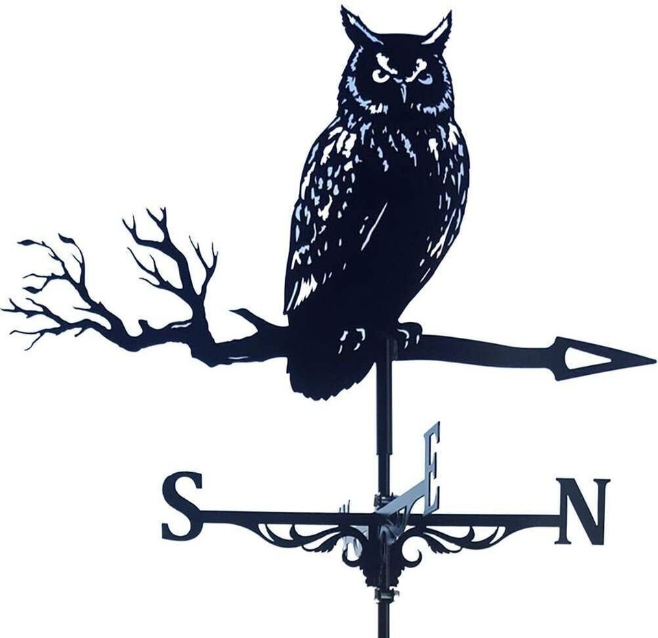Wind Decoration Vane Indicator Shed Black Weather Garden Metal ...