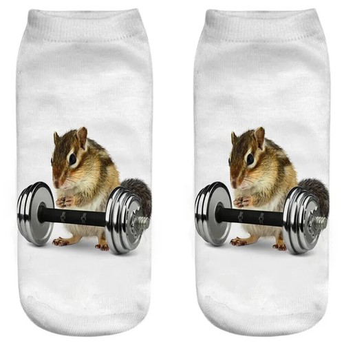 Girl Teen Socks Hamster Dumbbell Weightlifting Whimsical Read Size New ...