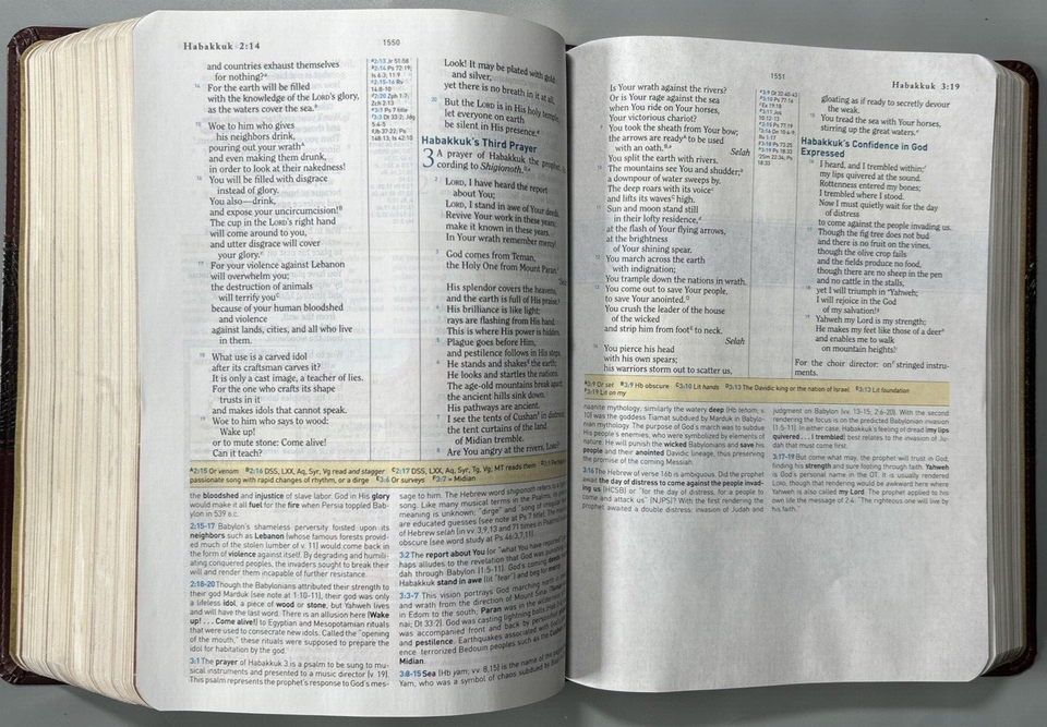 HCSB Study Bible Mahogany Duotone Simulated Leather Clean Text G+ USA ...