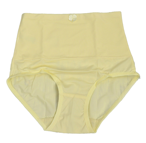 Carol Wior Women's Shaping Panty Shapewear Tummy Control Shaper Brief ...