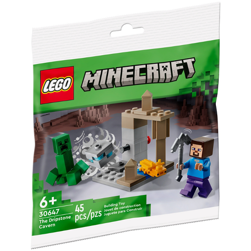 LEGO Minecraft The Dripstone Cavern Polybag 30647-1 | eBay Australia