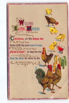 Welcome Easter Morning Rooster Chickens Chicks DB Embossed Postcard ...