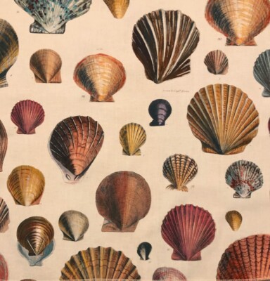 DESIGNERS GUILD John Derian Captain Thomas Brown Shells Cotton Remnant ...