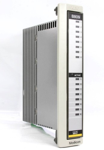 *New* Schneider Modicon Plc Module AS-B809-016 800 I/O 230VAC IN 16PT ...