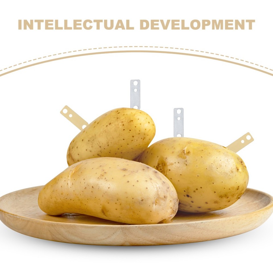 40 Pcs Copper Zinc Fruit Battery Science Kit Strip for Experiment ...