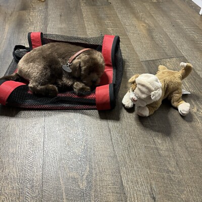 Perfect Petzzz Breathing Pet Chocolate Labrador & Hasbro FurReal ...