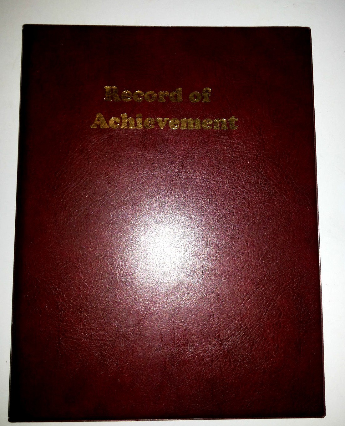 RECORD OF ACHIEVEMENT A4 FOLDER NEW (BURGUNDY LEATHER LOOK PVC) NEW ...