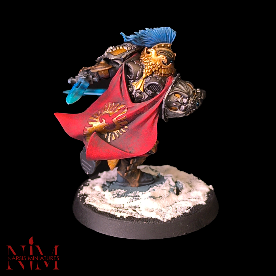 Warhammer 40k painted Custodes blade champion with custom color scheme ...