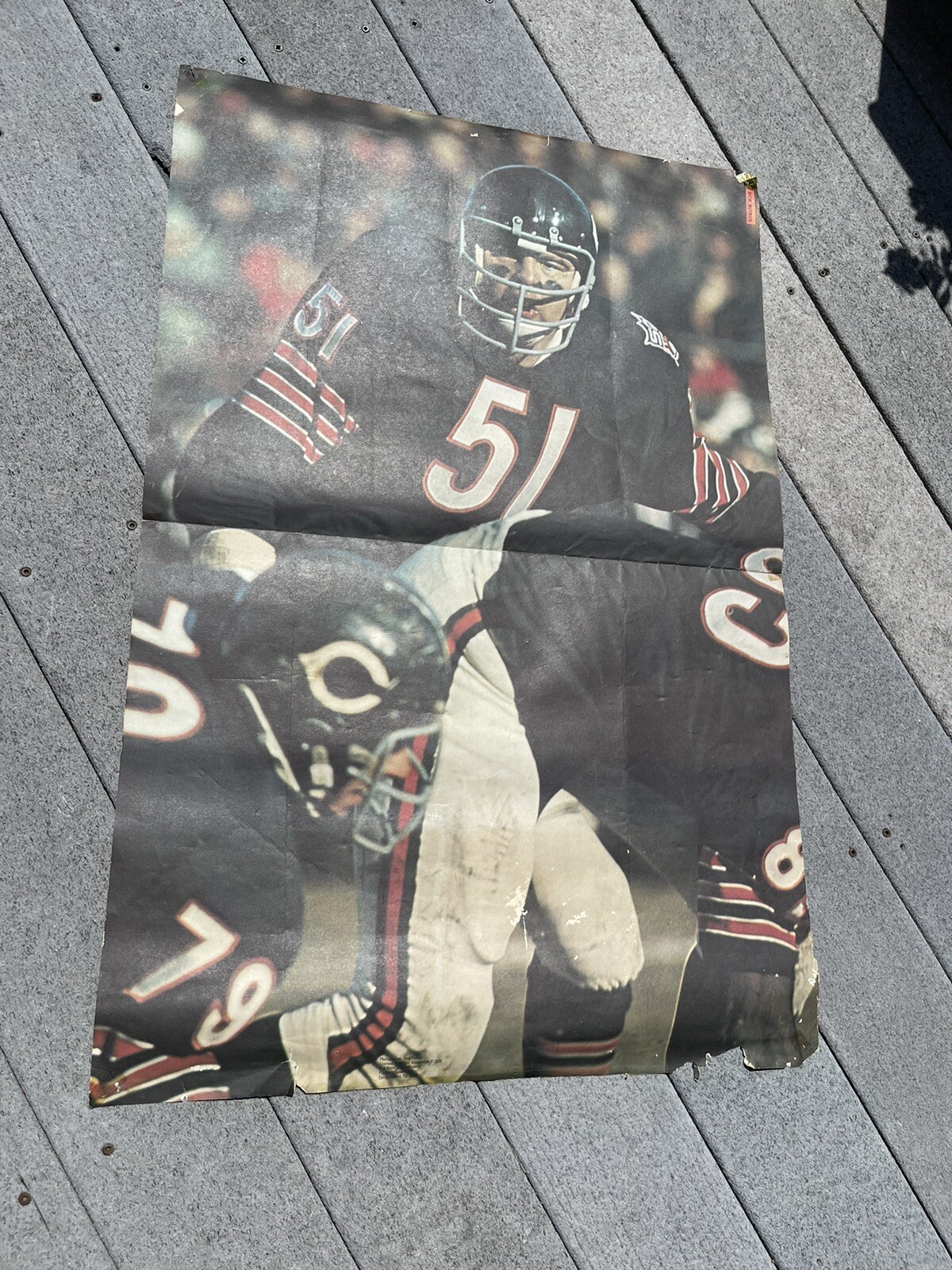 Vintage 1970 Dick Butkus Football Poster Chicago Bears By Tony Tomsie ...