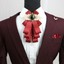 Men Pre-Tied Ribbon Rhinestone Neck Bow Tie Necktie Bow Knot Wedding ...