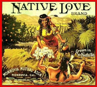 Monrovia Ca Native Love Orange Citrus Fruit Crate Label Vintage Art ...