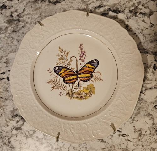 Vintage lord nelson pottery england Butterfly plate | eBay