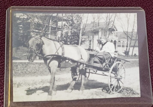 Horse Drawn Cart Victorian Lady Late 1800's Antique Photo | eBay