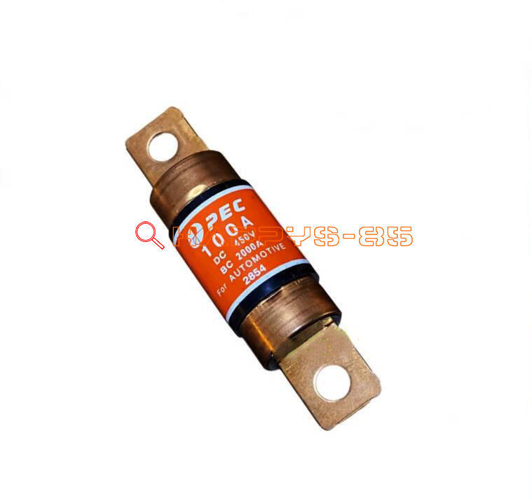 New 1PC PEC 100A New Energy High Voltage Automotive Fuse DC450V BC2000A ...