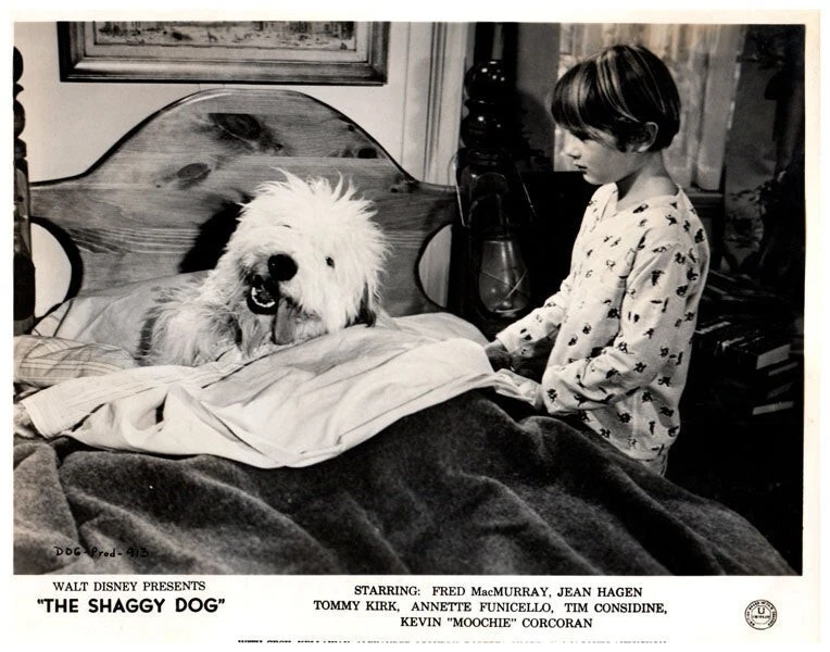 Kevin Corcoran Moochie