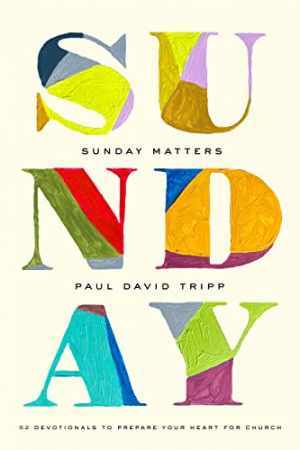 Sunday Matters: 52 Devotionals to - Hardcover, by Tripp Paul David ...